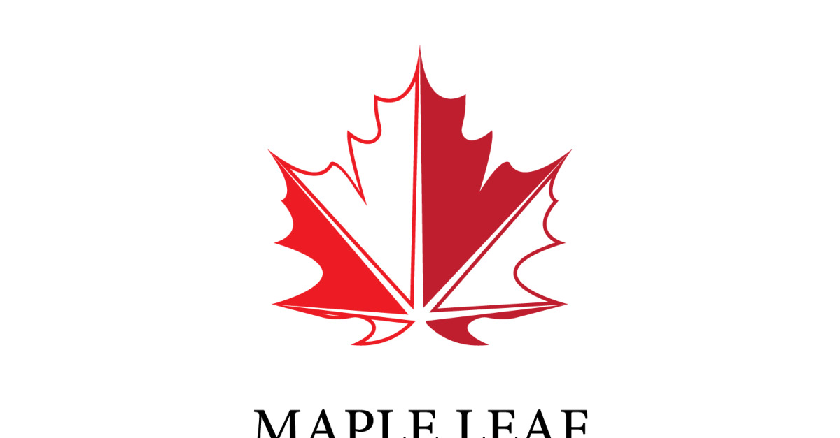 Leaf Mapple vector logo icon v16 #355065 - TemplateMonster