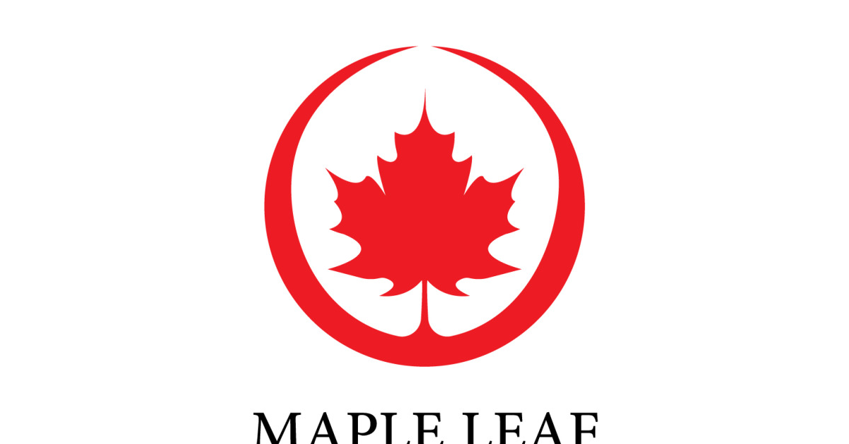 Leaf Mapple vector logo icon v17 #355068 - TemplateMonster
