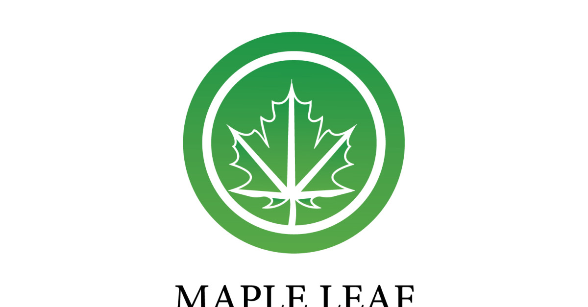 Leaf Mapple vector logo icon v24 #355077 - TemplateMonster