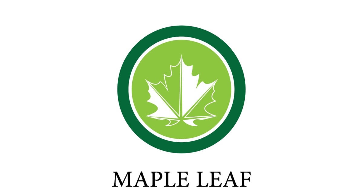 Leaf Mapple vector logo icon v26 #355078 - TemplateMonster