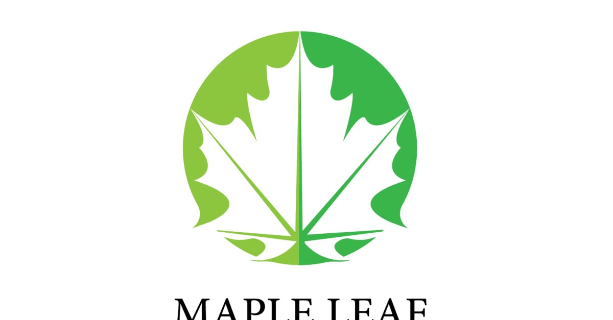 Leaf Mapple vector logo icon v31 #355080 - TemplateMonster