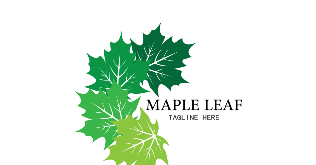 Leaf Mapple vector logo icon v47 #355097 - TemplateMonster