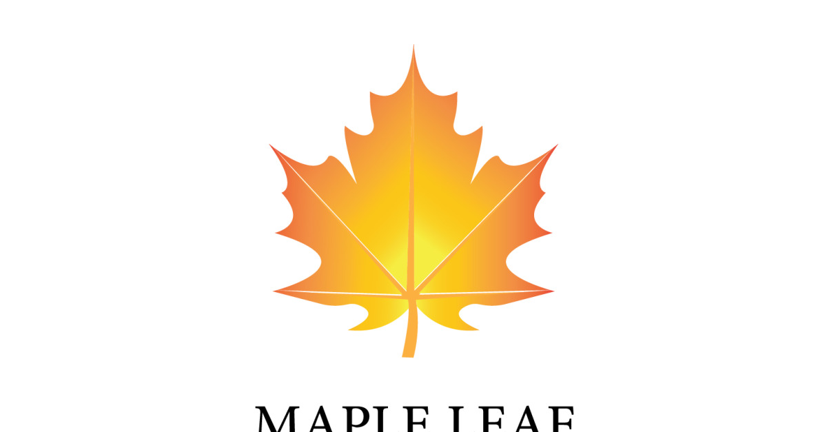 Leaf Mapple vector logo icon v9 #355051 - TemplateMonster