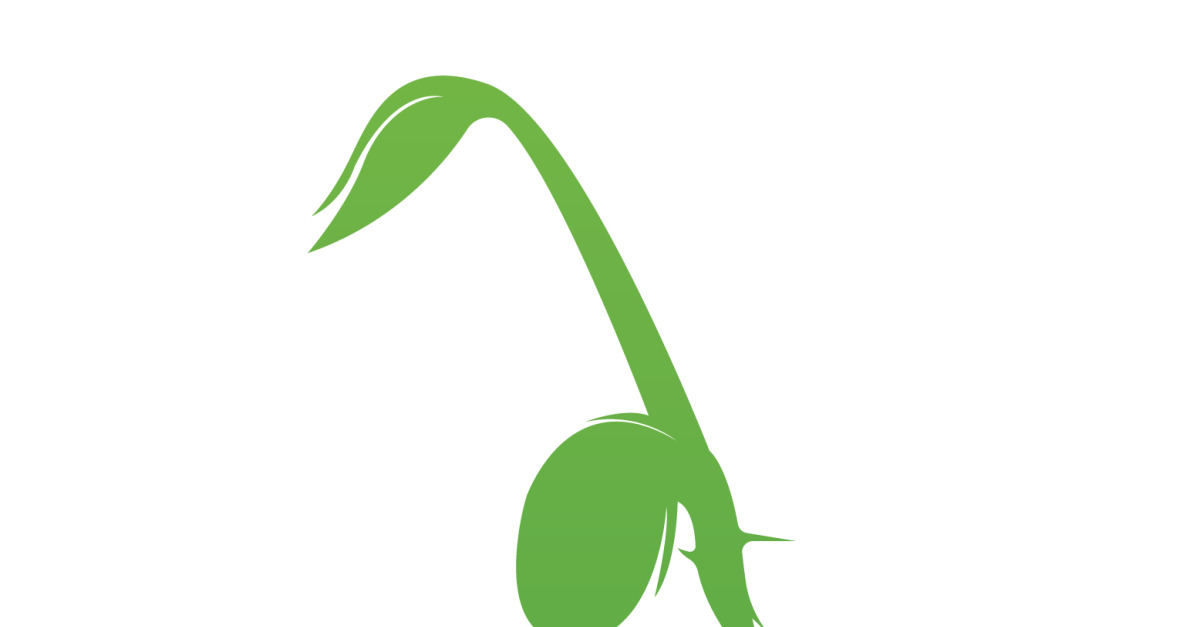 Seeds sprout sprouts template logo v25 - TemplateMonster