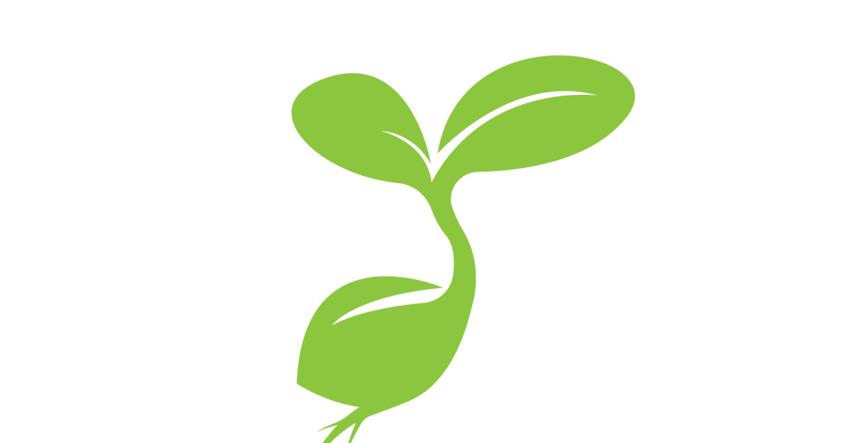 Seeds sprout sprouts template logo v4 - TemplateMonster