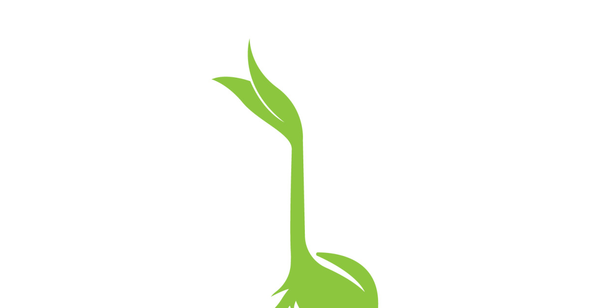 Seeds sprout sprouts template logo v6 - TemplateMonster