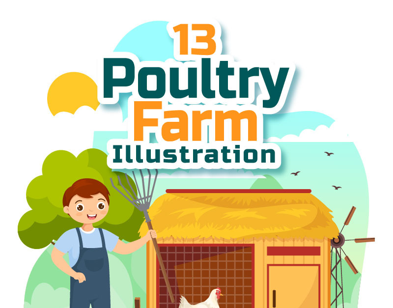 13 Poultry Farm Vector Illustration #360968 - TemplateMonster