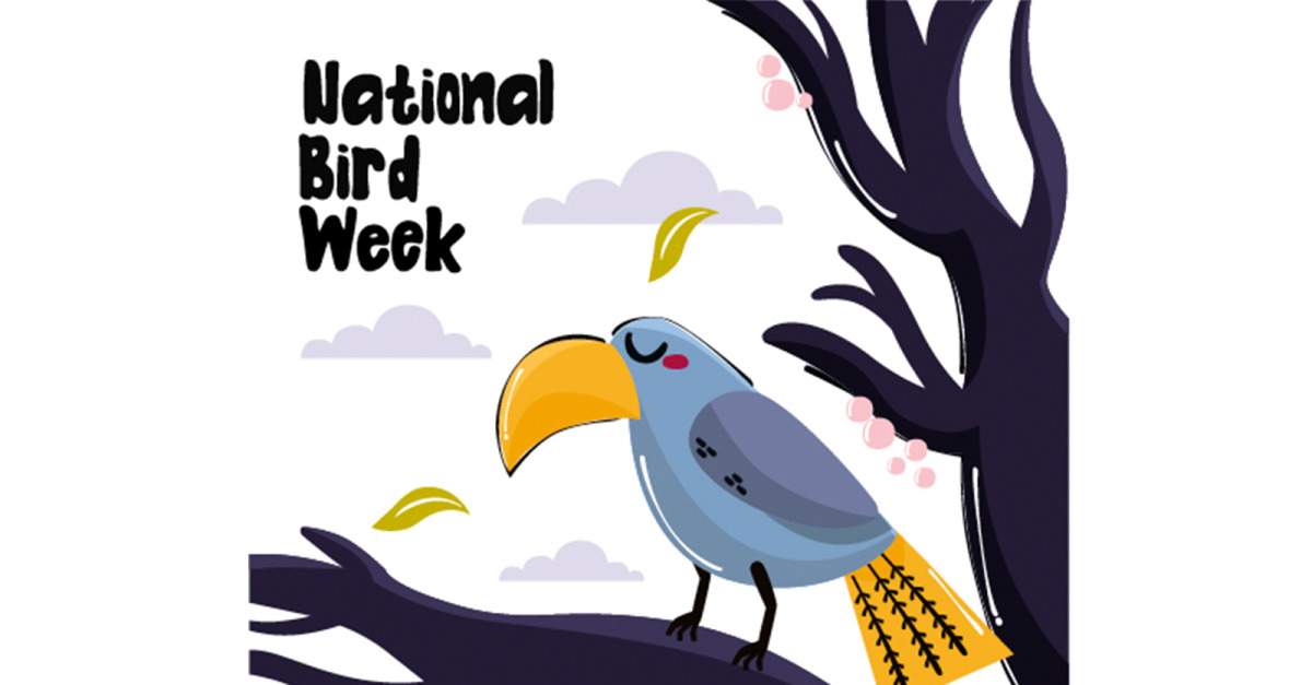 Australian National Bird Week Illustration - TemplateMonster