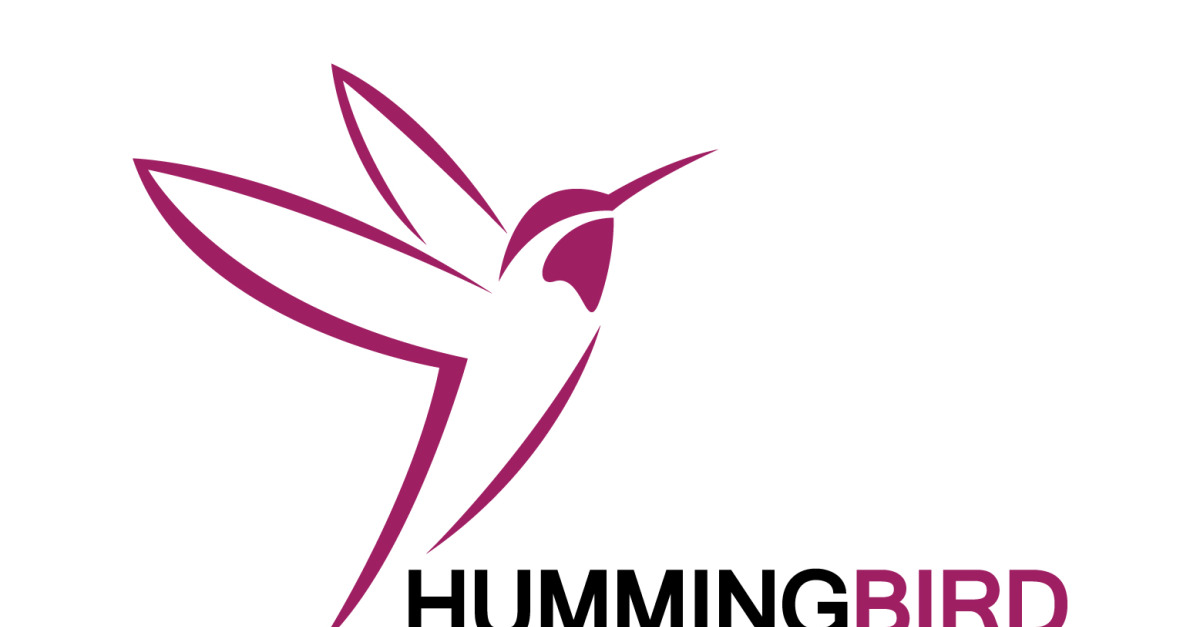Hummingbird icon logo template v3 #365326 - TemplateMonster