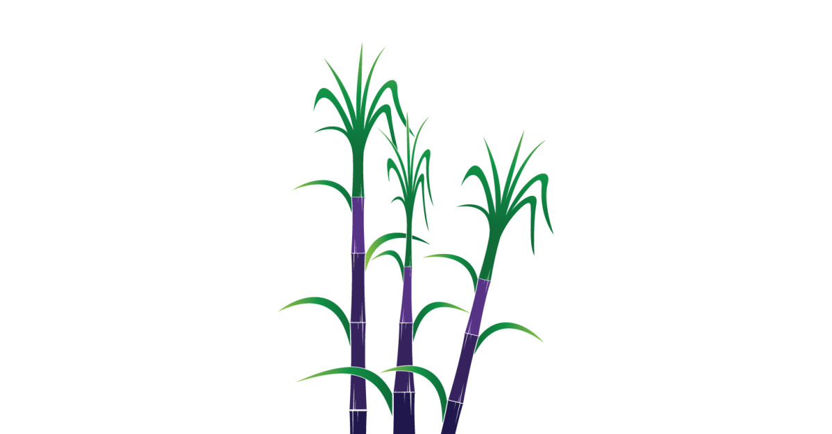 Sugar tree template vector logo v2 #365519 - TemplateMonster
