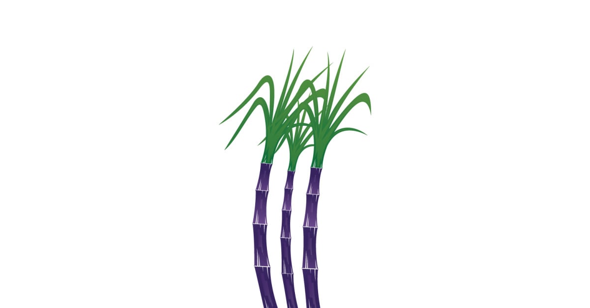 Sugar tree template vector logo v6 #365512 - TemplateMonster