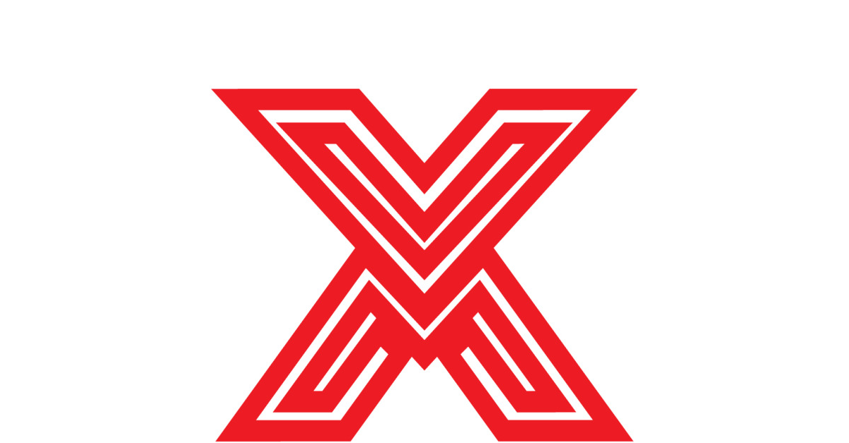 X harfi ilk logo vektörü v10 #365663 - TemplateMonster