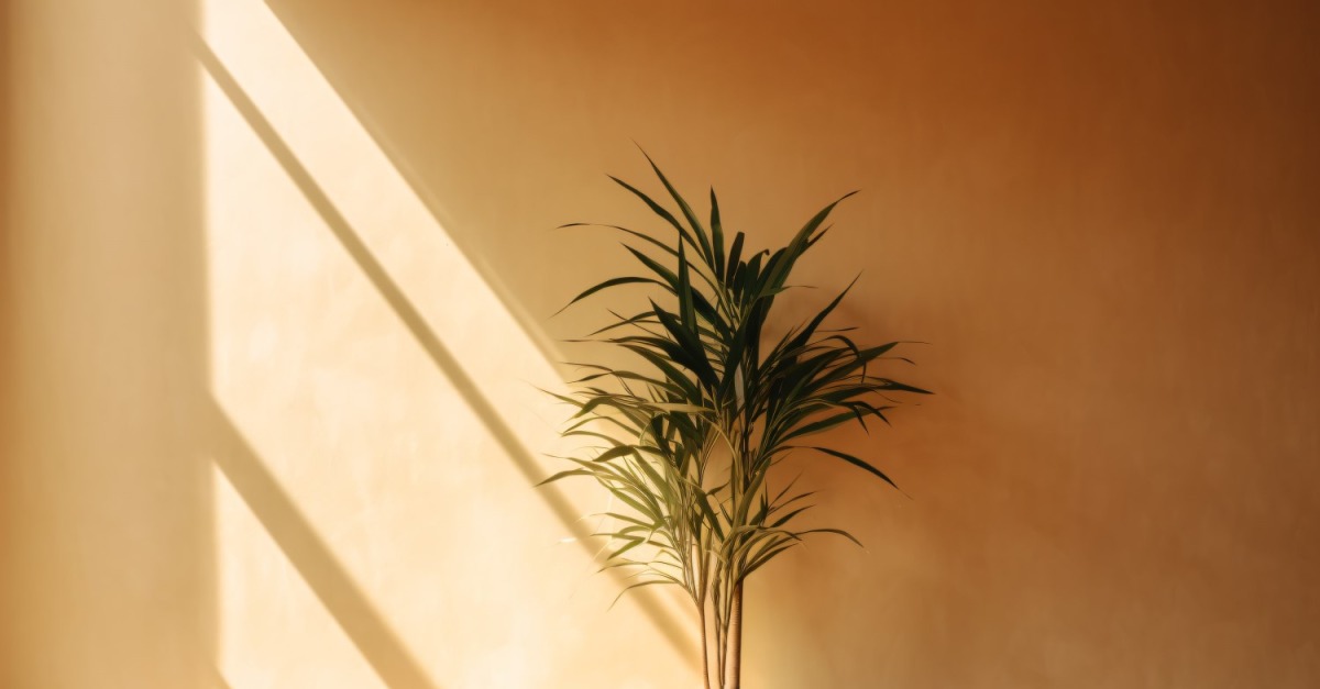 Italian Chic Captivating Living Room Interiors 701