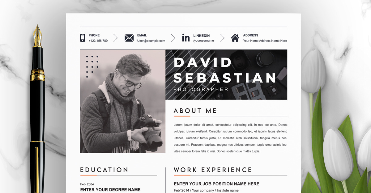 Disposition du modèle de CV complet en couleur