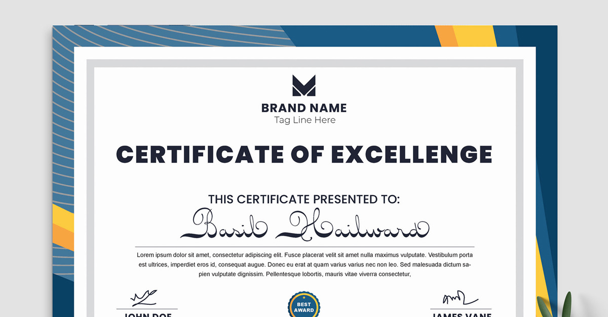 Certificates of Excellence #375657 - TemplateMonster