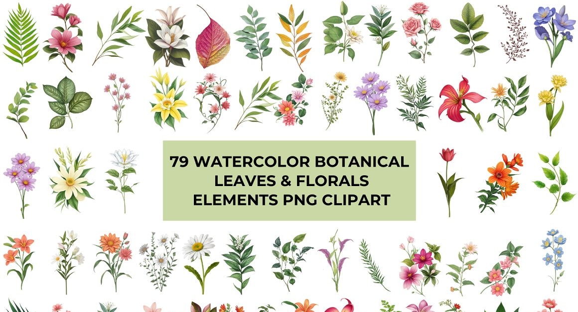 Watercolor Botanical Leaves and Florals Clipart