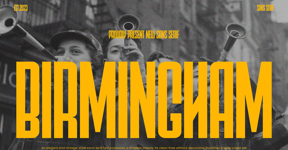 Birmingham - Fuente Sans Serif #377782 - TemplateMonster