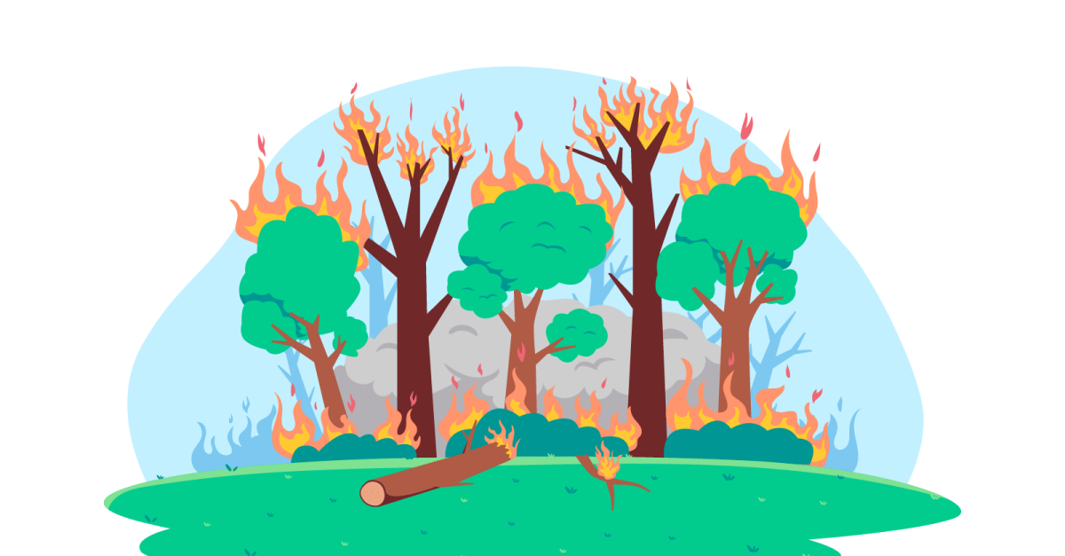 Forest Fire Vector Illustration #381949 - TemplateMonster