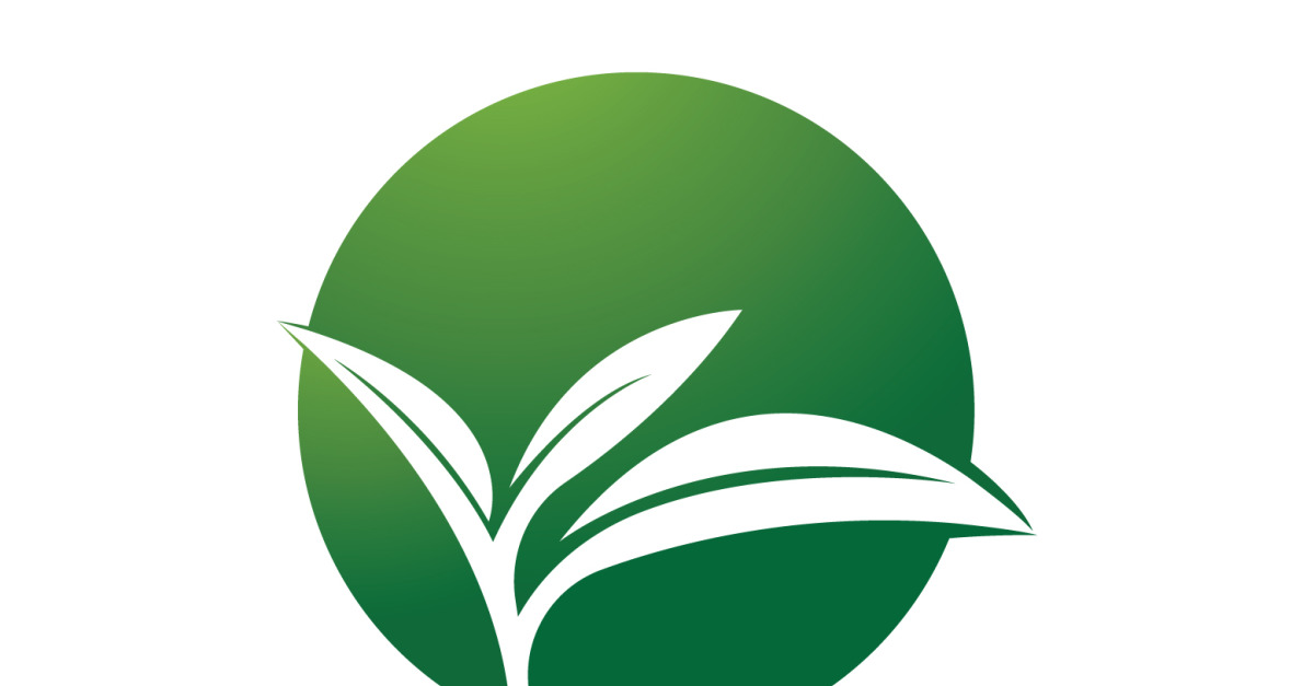 Natural leaf mint green logo illustration design vector v21