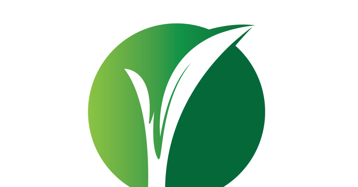 Natural leaf mint green logo illustration design vector v23