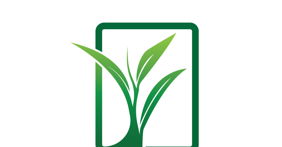 Natural leaf mint green logo illustration design vector v31