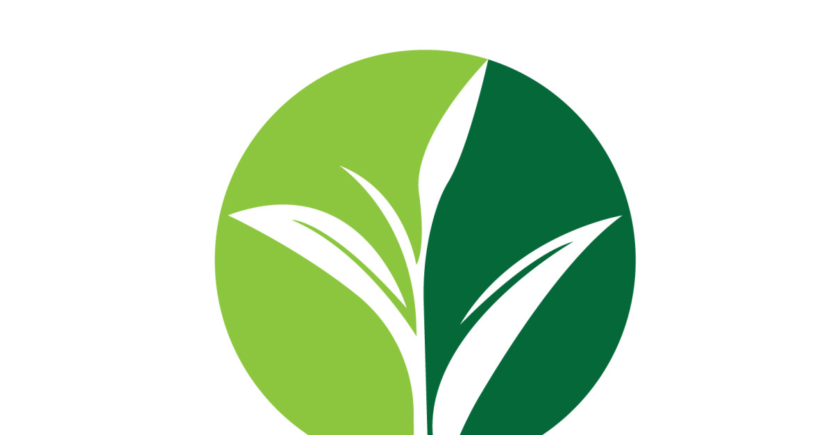 Natural leaf mint green logo illustration design vector v32