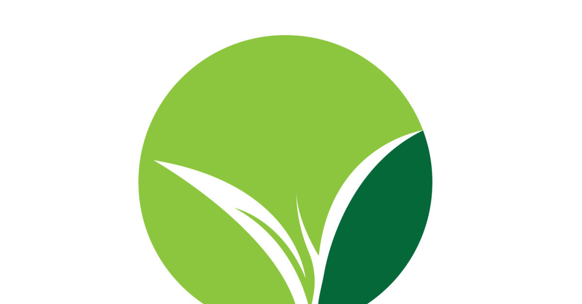 Natural leaf mint green logo illustration design vector v33