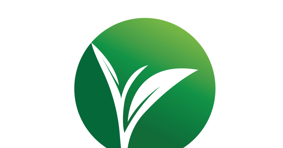 Natural leaf mint green logo illustration design vector v34