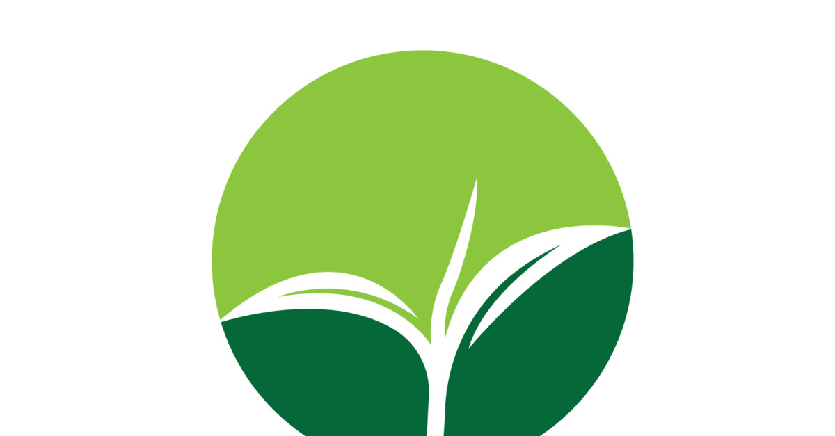 Vector de diseño de ilustración de logotipo verde menta de hoja natural v36
