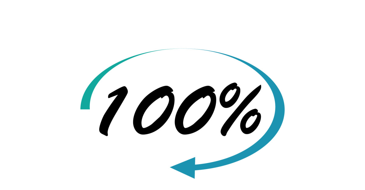 100 pour cent icône symbole logo version v59