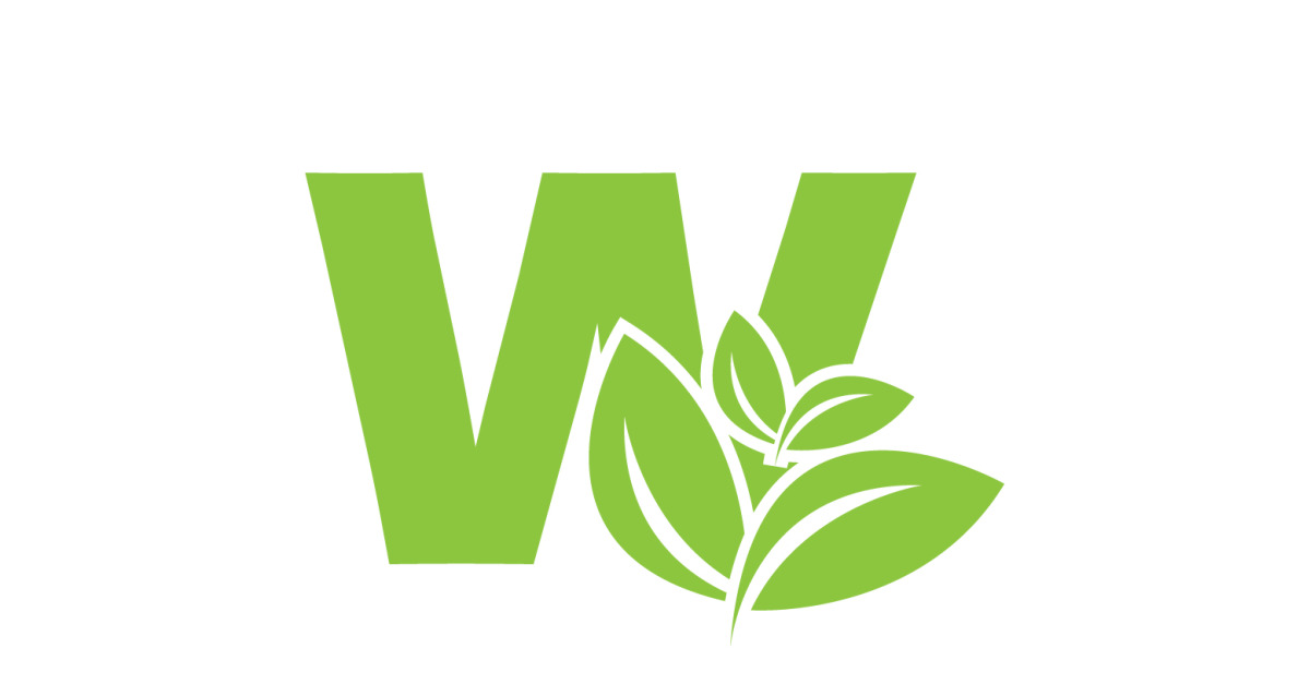 W 字母初始公司名称矢量 v37 #392490 - TemplateMonster