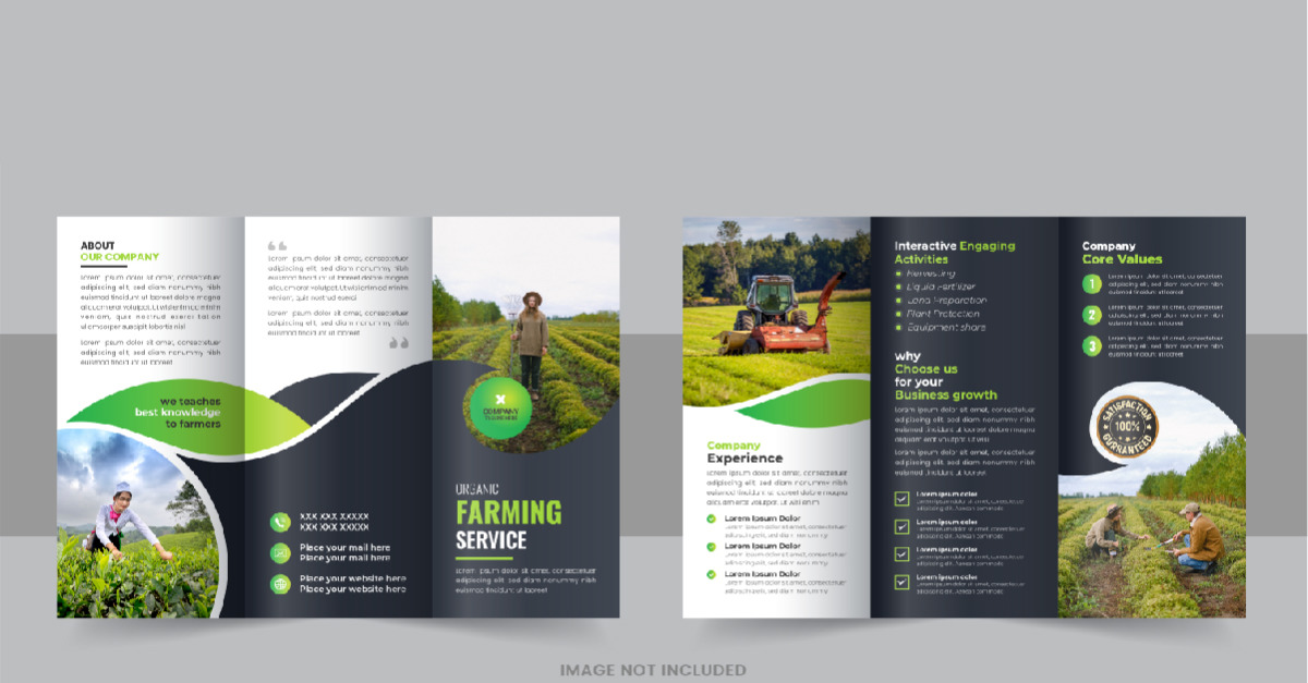 Lawn care trifold brochure or Agro tri fold brochure template