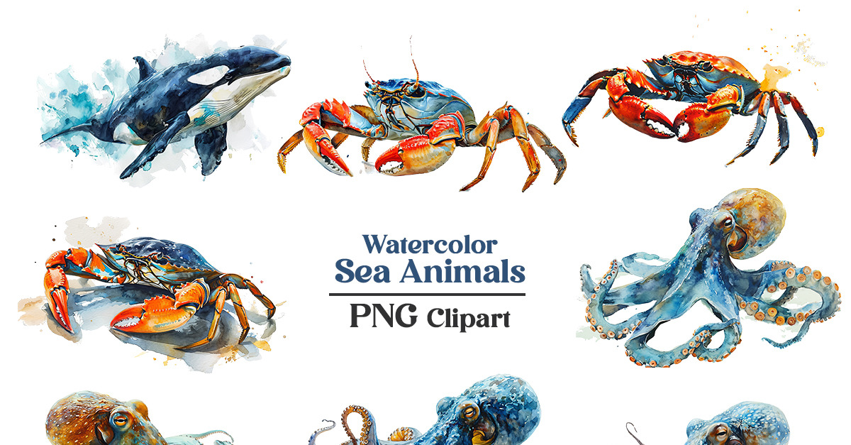 Hand drawn watercolor sea animals clipart illustration