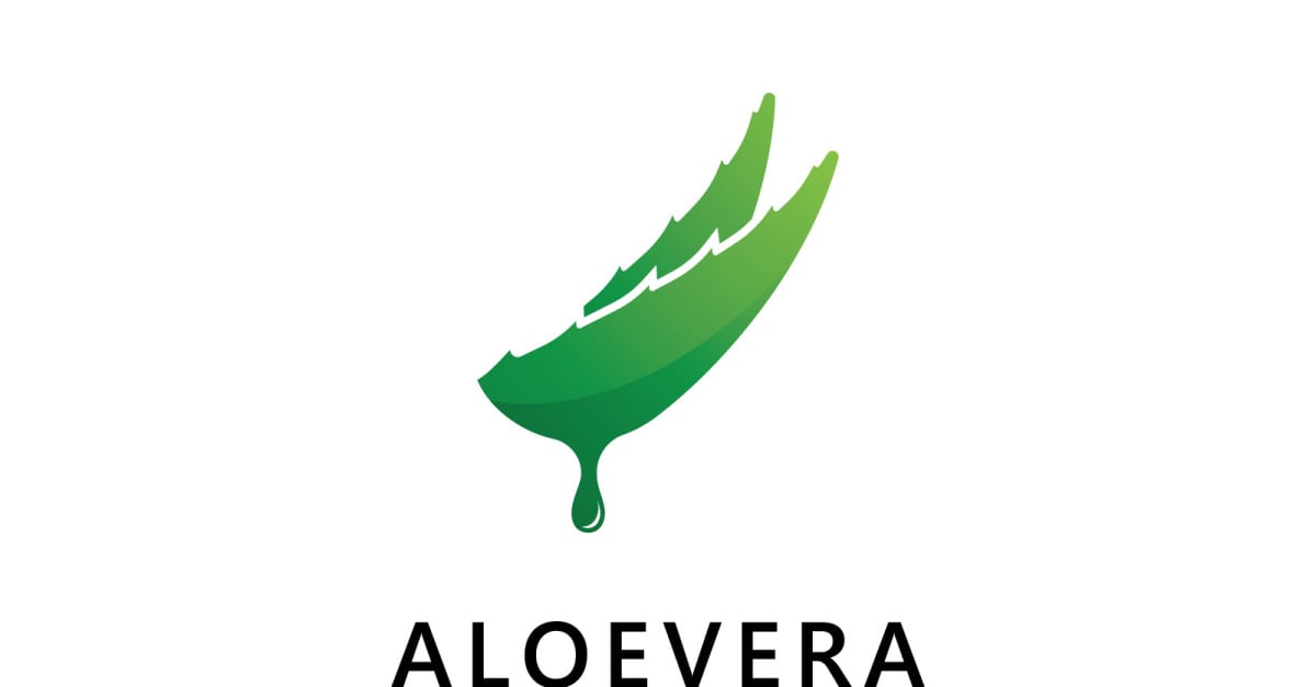 Aloe vera bitki logosu damla vektör tasarımı. Aloe vera jel logo simgesi V3