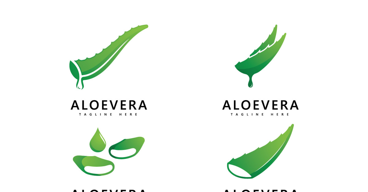 Aloe vera bitki logosu damla vektör tasarımı. Aloe vera jel logo simgesi V5