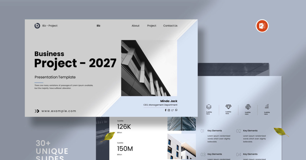 Business Project Presentation Template - TemplateMonster