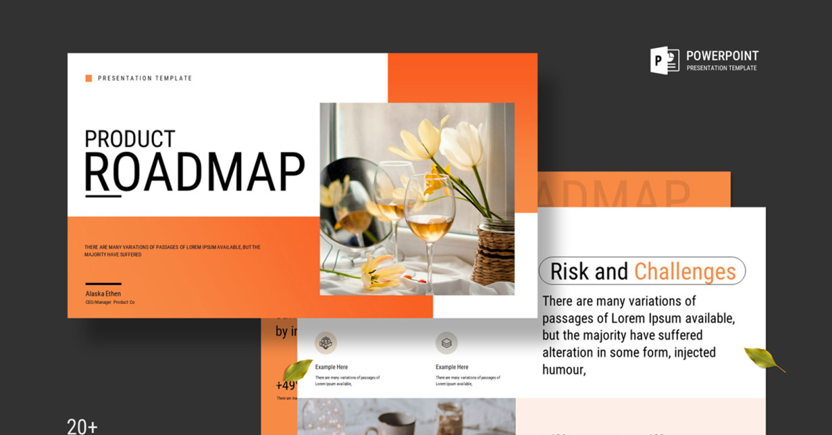 Product Roadmap Presentation Template__ - TemplateMonster