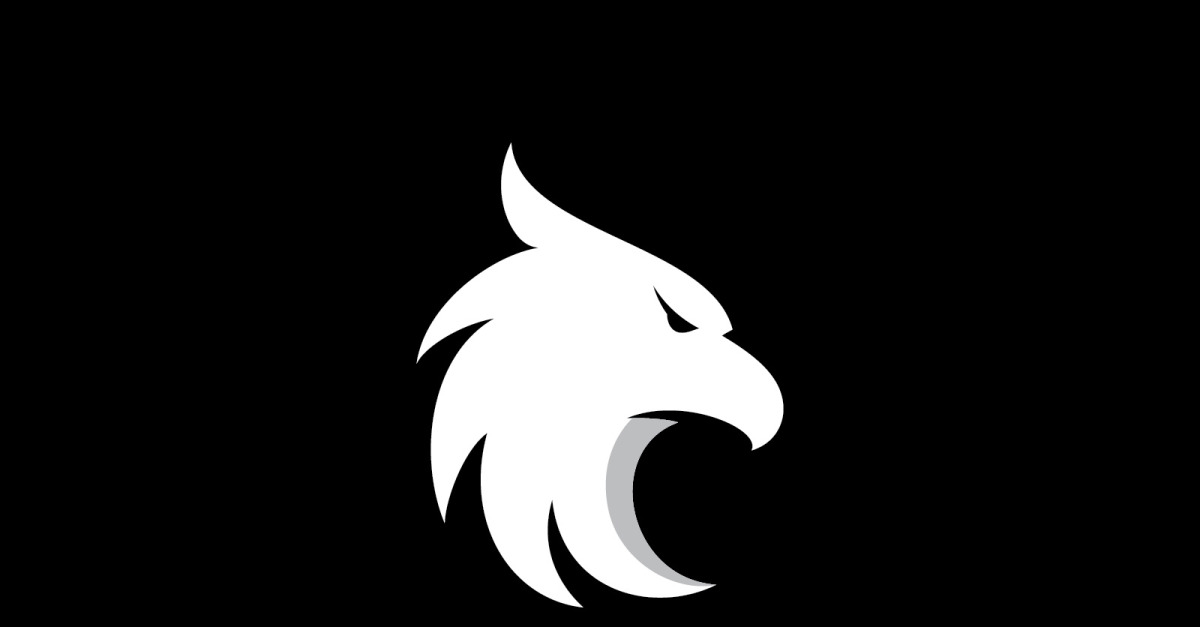 Eagle Logo icon Design falcon head vector V3