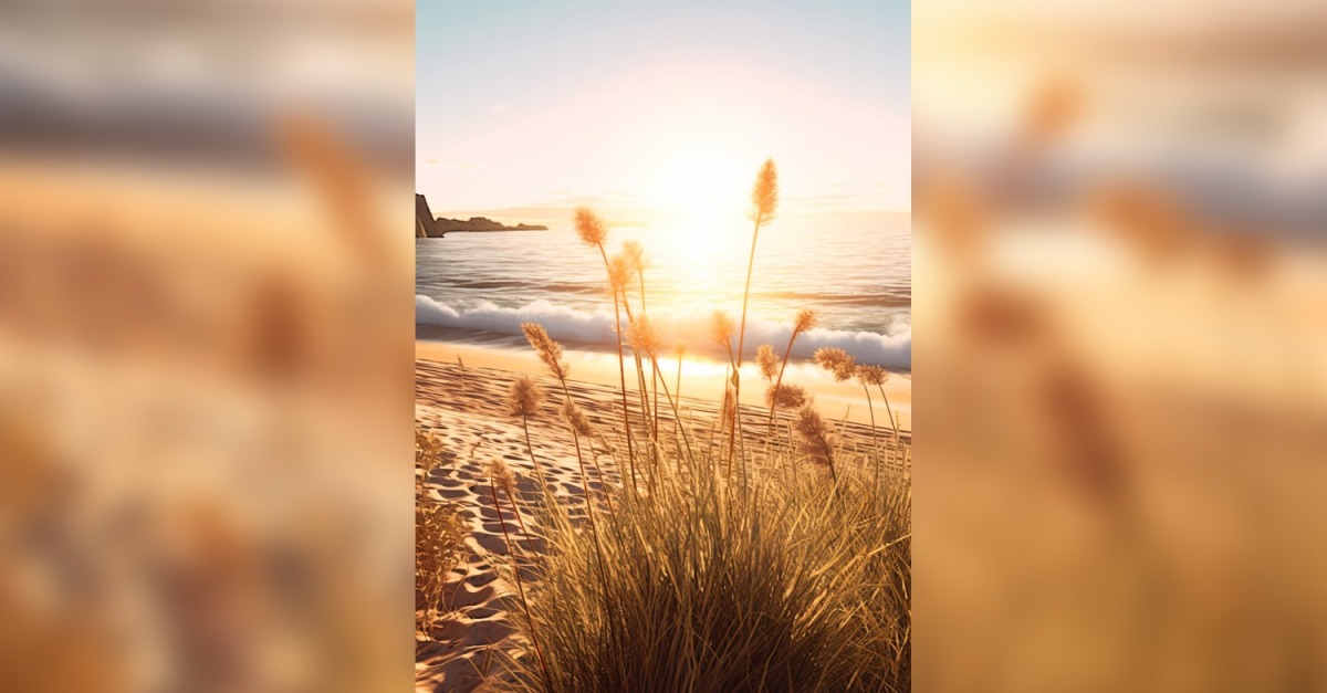 Journée ensoleillée d'été, coucher de soleil en plein air derrière une ...
