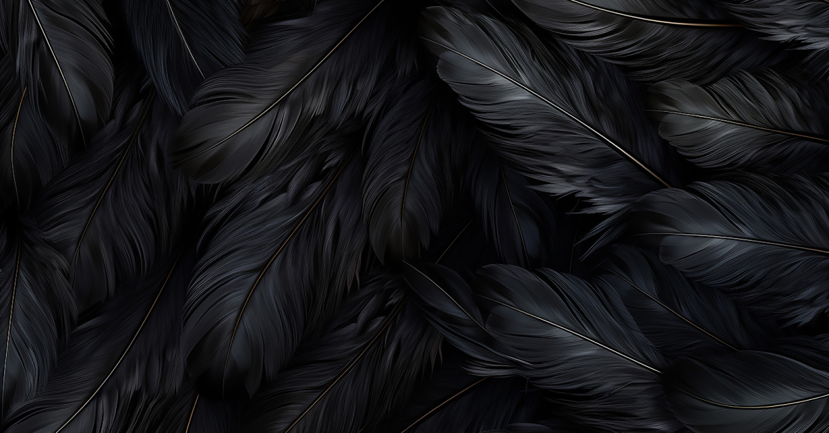 Dark feathers pattern_black feathers pattern_black feathers art