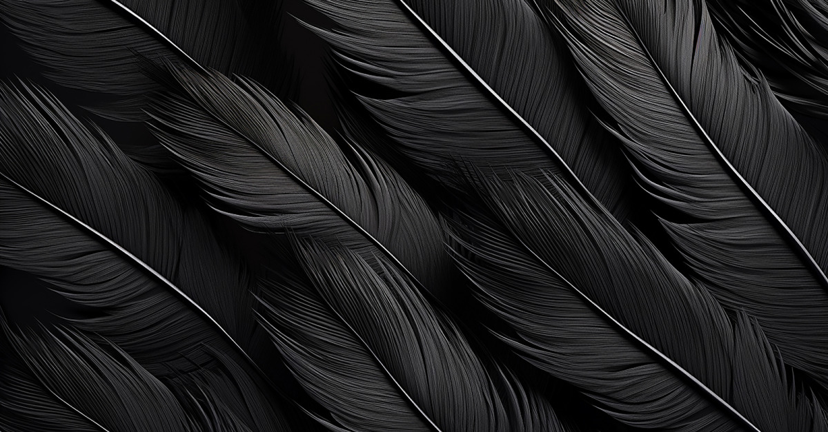 Dark premium feathers pattern_black feathers pattern_black feathers art