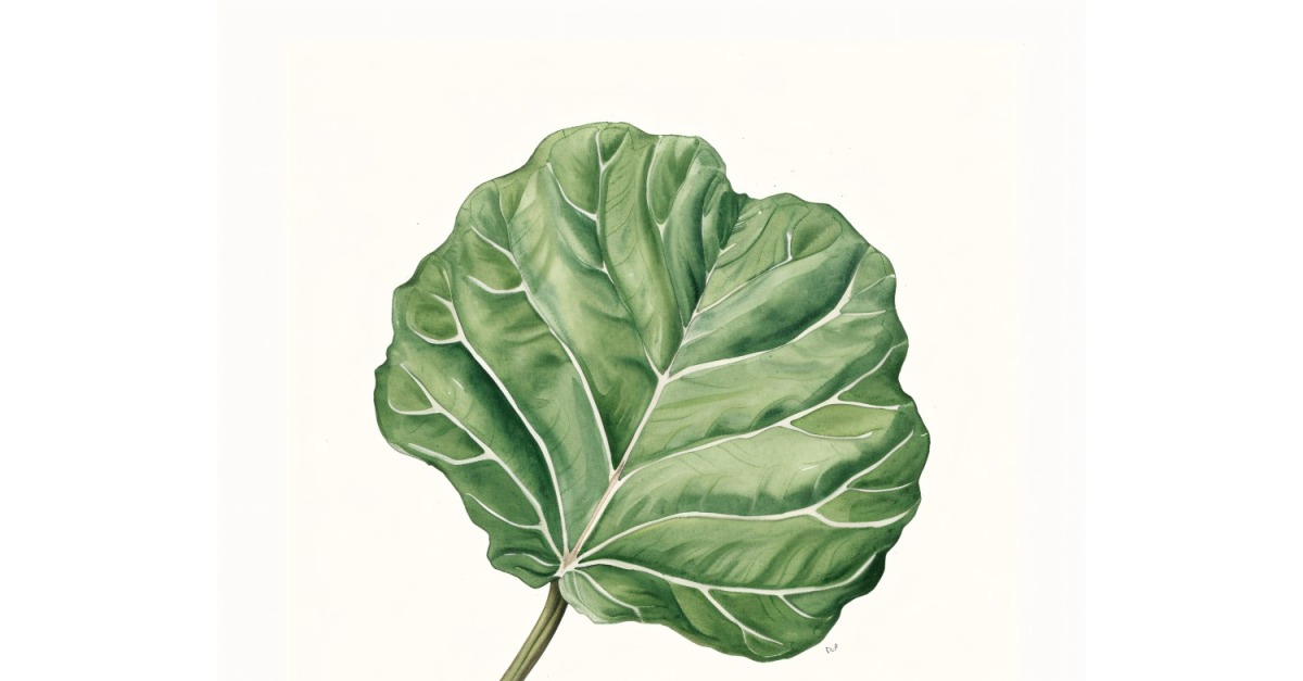 Fiddle Leaves Watercolour Style Painting 3 - TemplateMonster