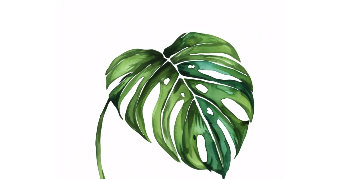 Swiss Cheese Leaves Watercolour Style Painting 2