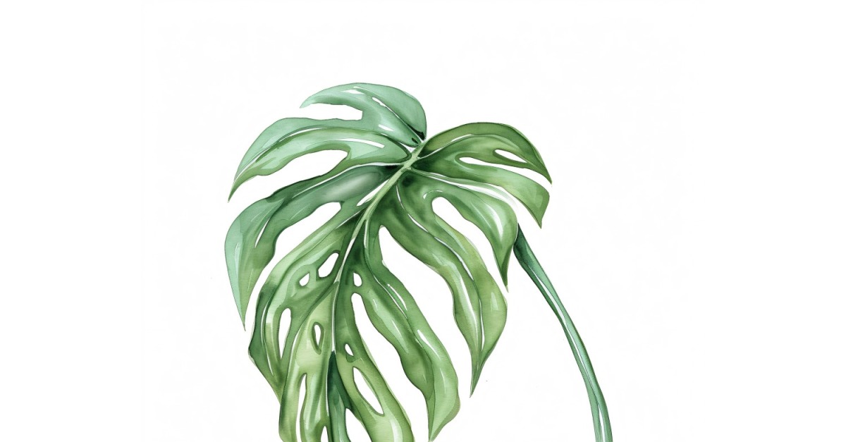 Swiss Cheese Leaves Watercolour Style Painting 8