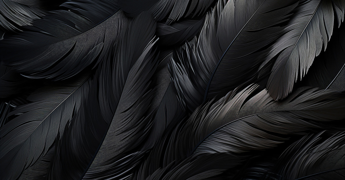 Abstract dark feathers pattern_black feathers pattern