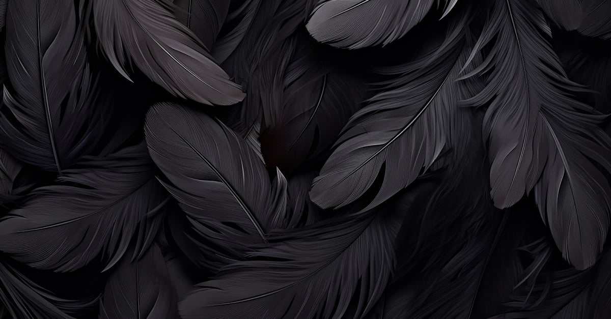 Dark feathers design_black feathers pattern_black feather