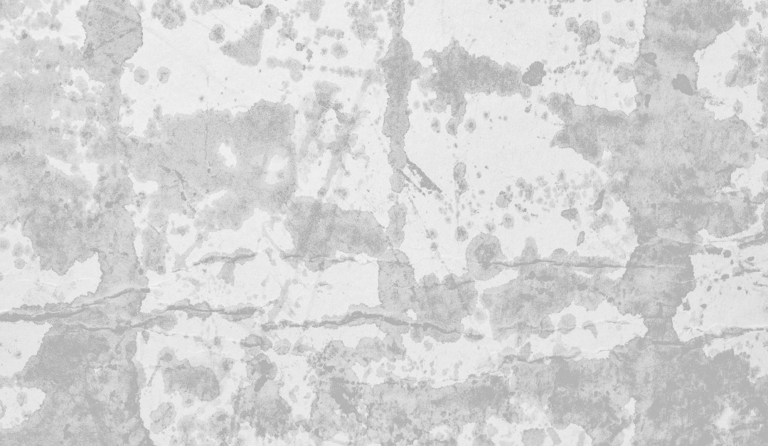 Grunge White Texture Backgrounds #427913 - TemplateMonster