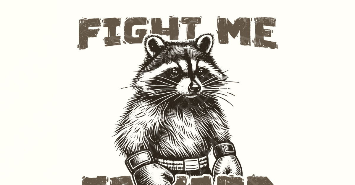 Fight Me Coward png、Funny Racoon Png、数字下载、Meme Diy 衬衫、浣熊爱好者、讽刺
