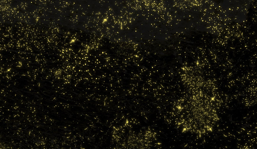 Magic Dust Backgrounds Vol.1 #428837 - TemplateMonster