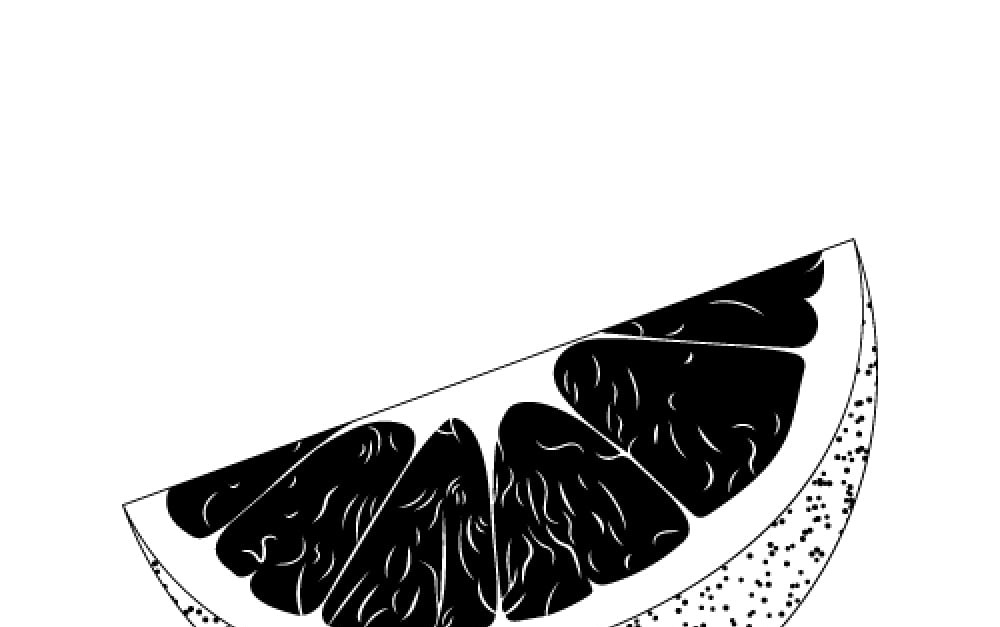 Orange slice outline with textured skin - TemplateMonster